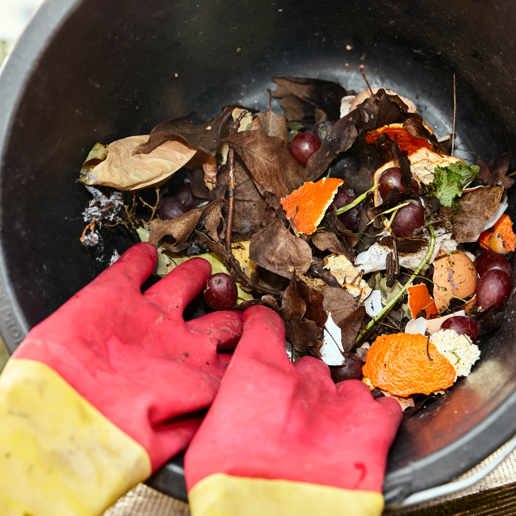 Avoiding Common Composting Pitfalls: How to Compost Without Attracting ...